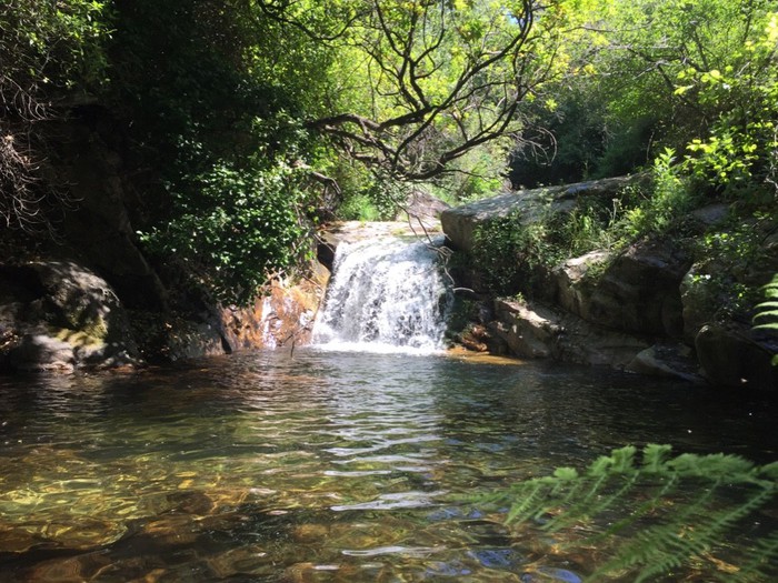 Senderismo 12/05 Garganta del Río Vadillo - STC Meditour